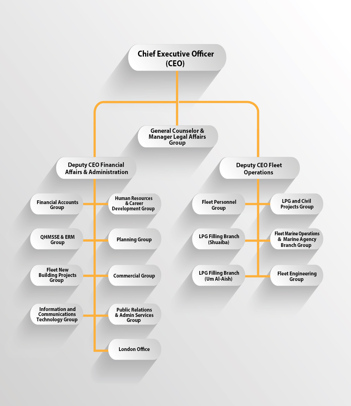 Organisation Structure