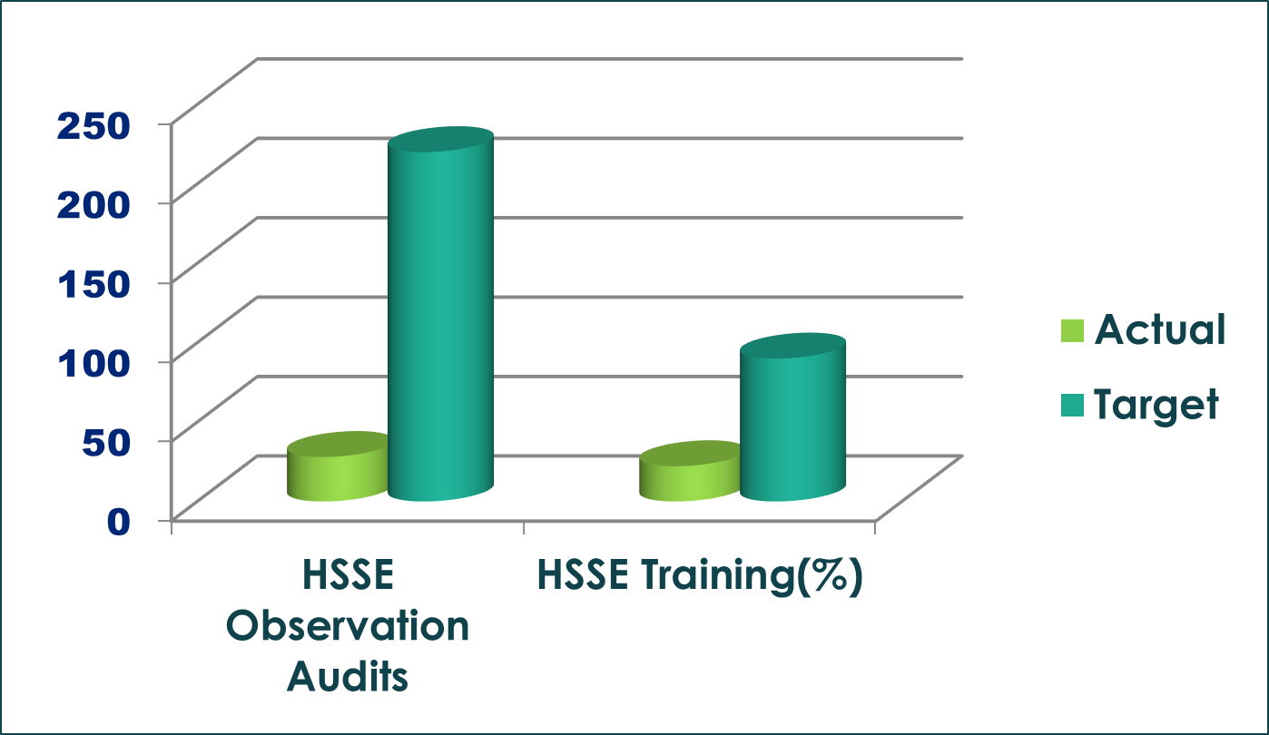 Pages - HSE Parameters